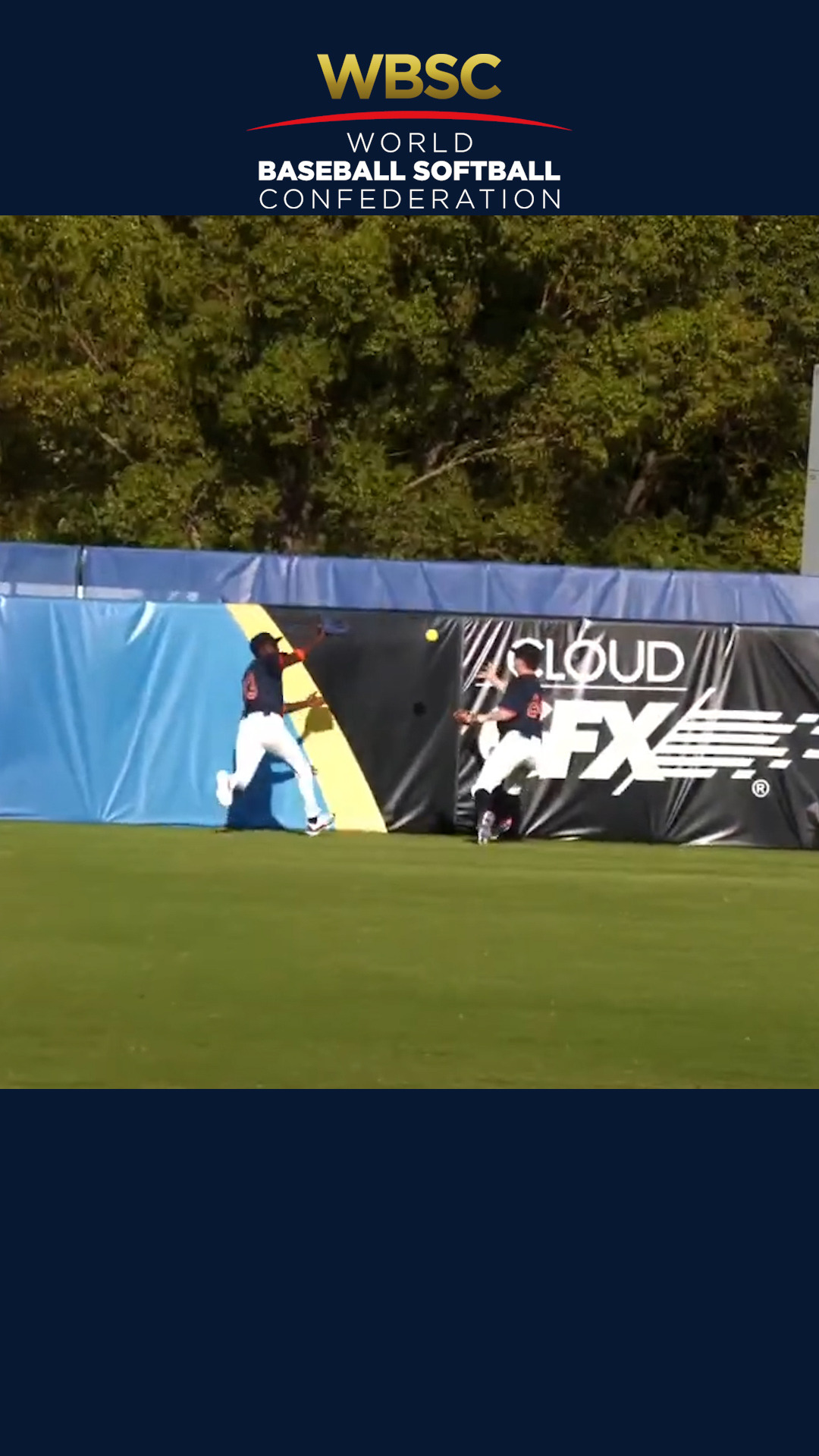 계속 보게 되는 영상! 서커스 캐치! #WBSC #세계야구소프트볼연맹 #남자소프트볼월드컵 - 오늘의 숏 beta