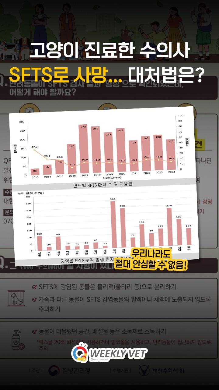 고양이 진료한 수의사 SFTS로 사망...대처 방법은? #SFTS #인수공통감염병 - 다음 루프