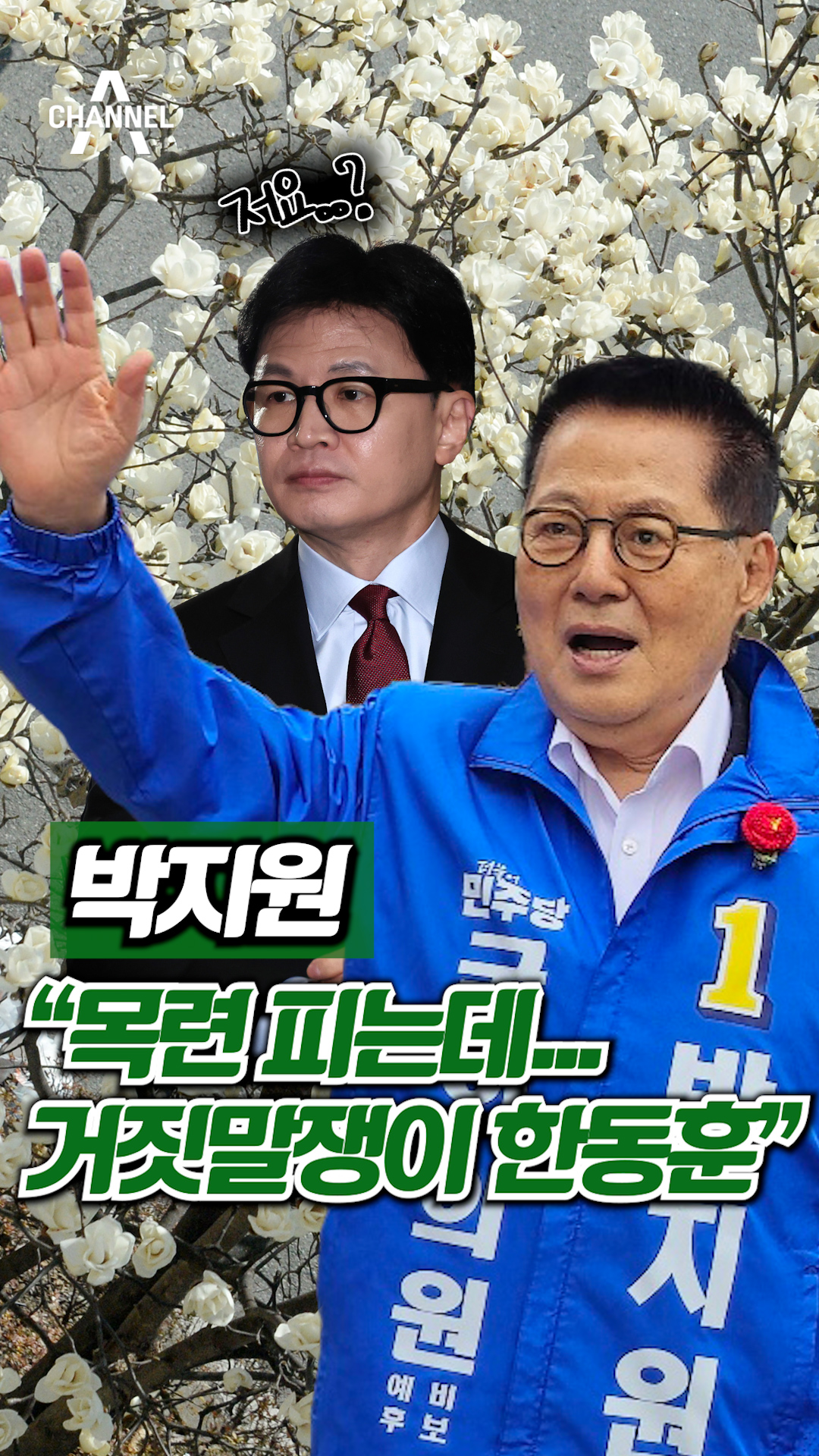 박지원 목련 피는데거짓말쟁이 한동훈” 박지원 오늘의 숏 Beta