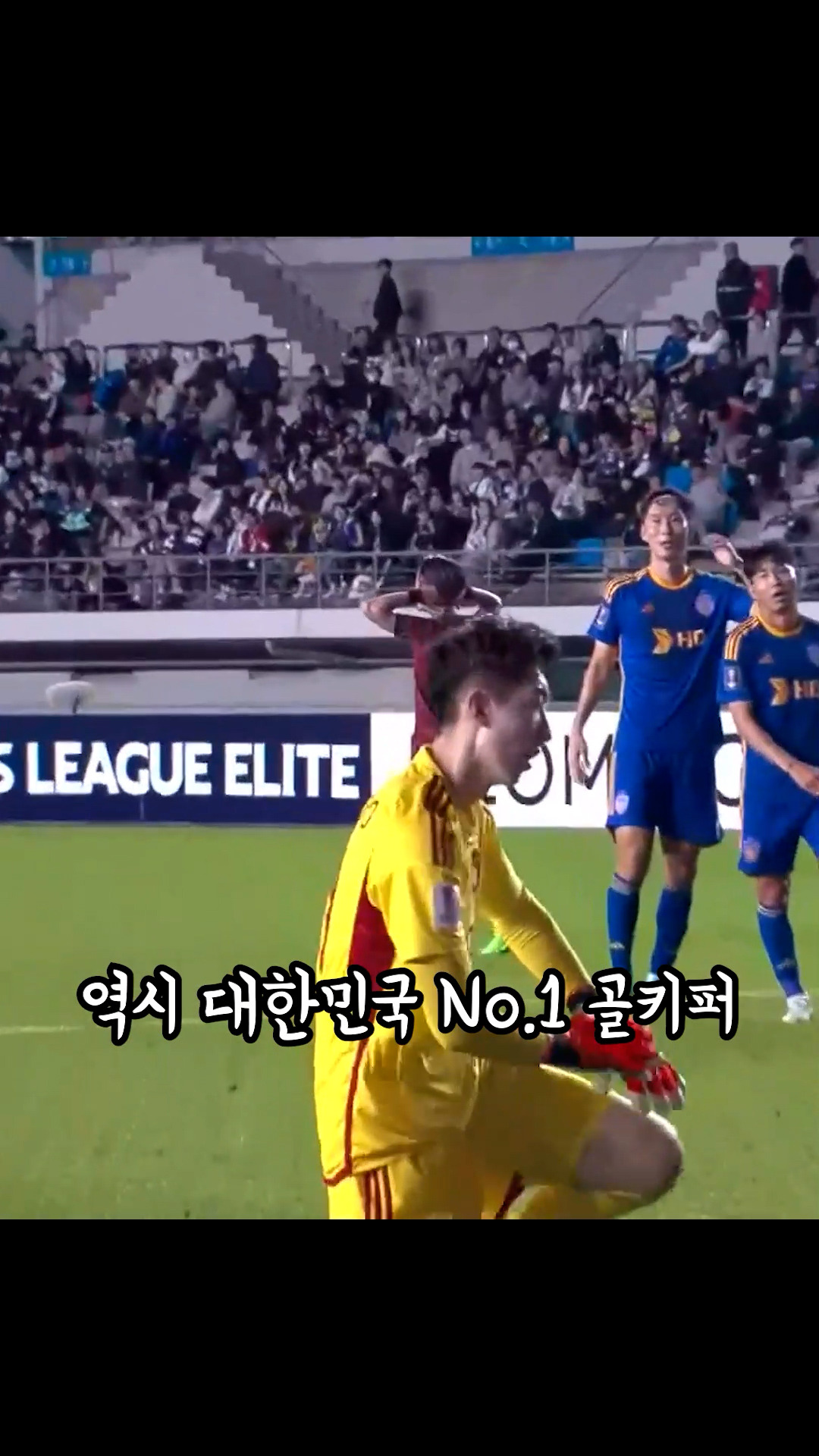 또 당신입니까 #ACL #조현우 #선방 - 오늘의 숏 beta