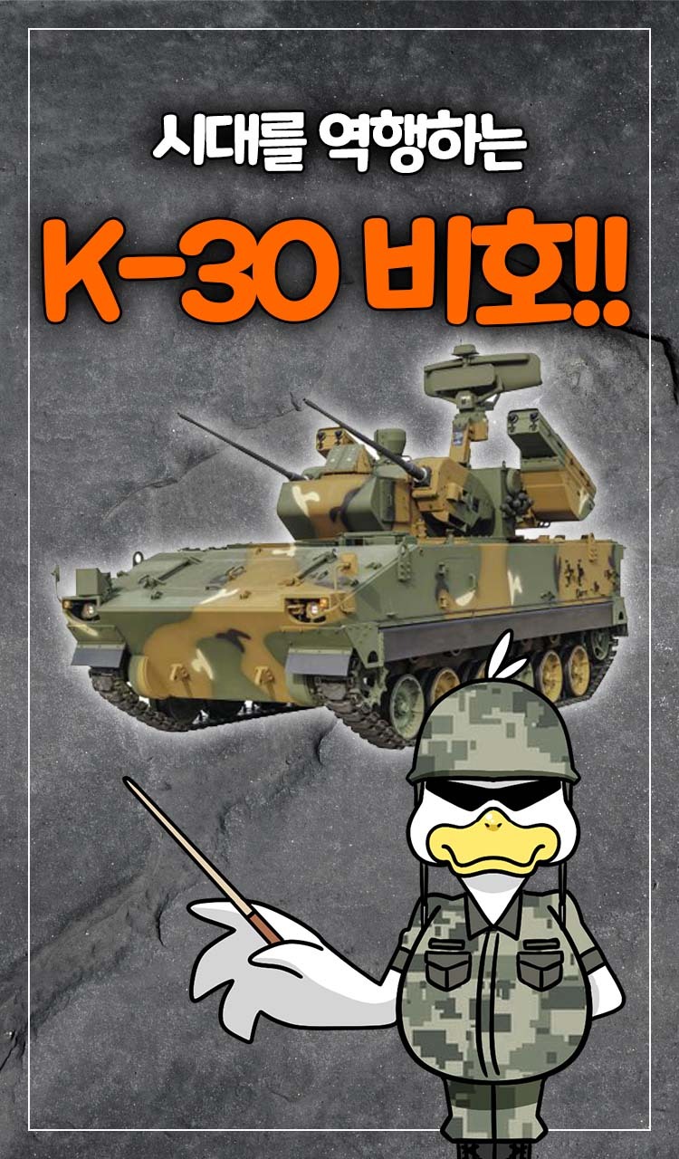 K-30 비호 무기도 역시 될놈될 - 다음 루프