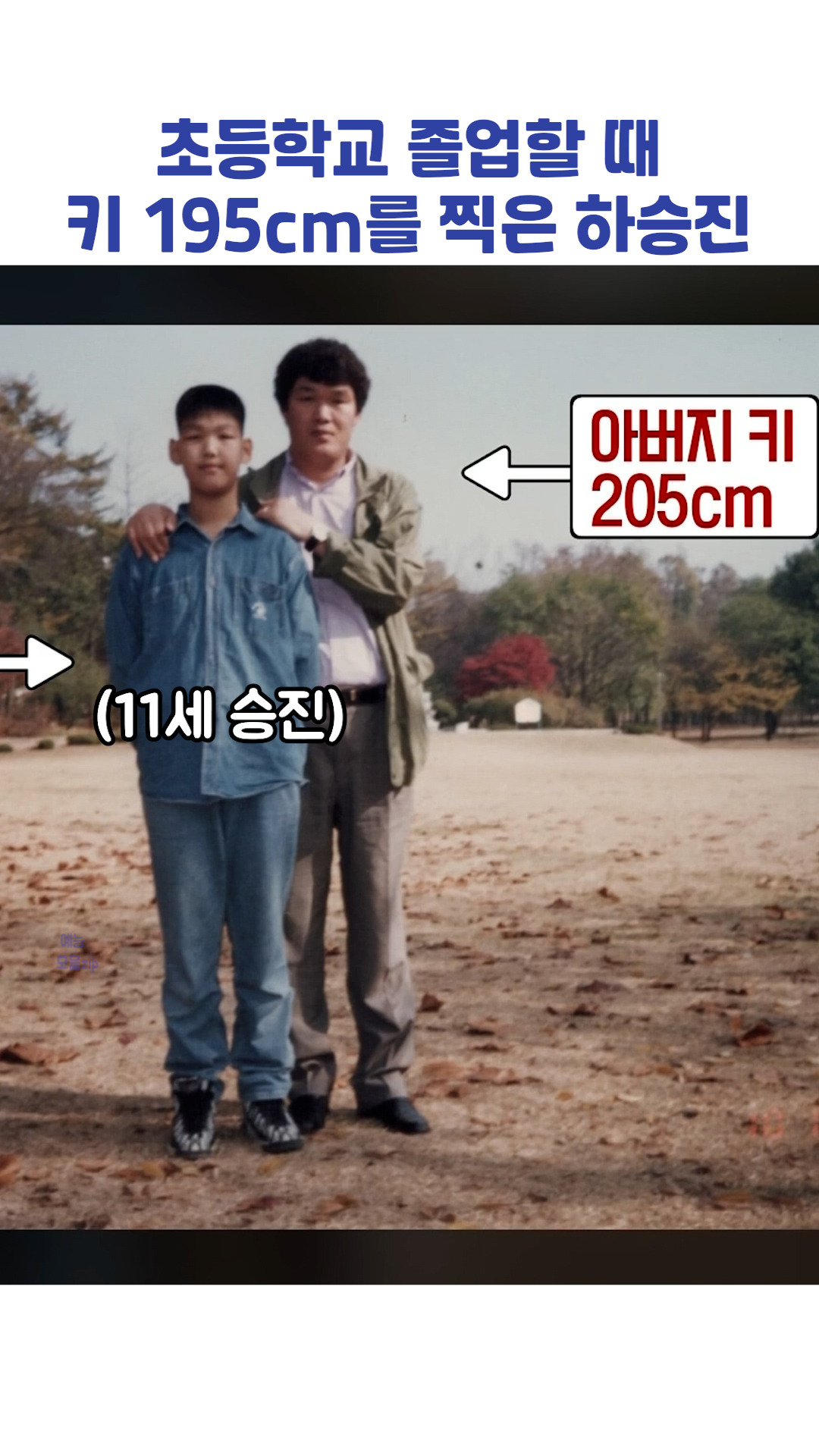 초등학교 졸업할 때 키 195cm를 찍은 하승진 #아는형님 - 오늘의 숏 beta